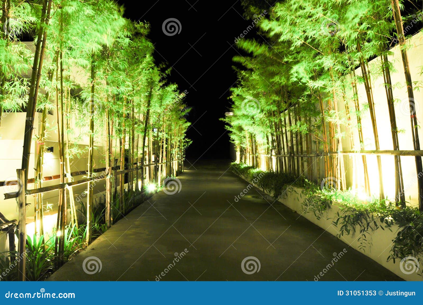 Night path stock image. Image of landscape, evening, darkness - 31051353