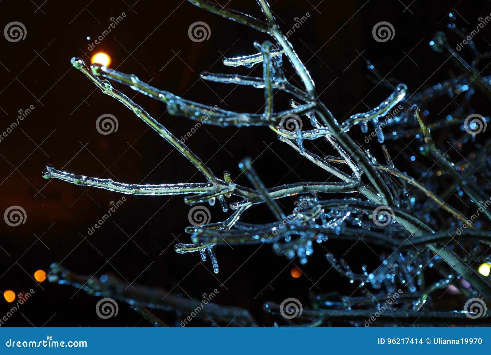 Night Photo of Blue Icycle Iced Branches Stock Photo - Image of cold ...
