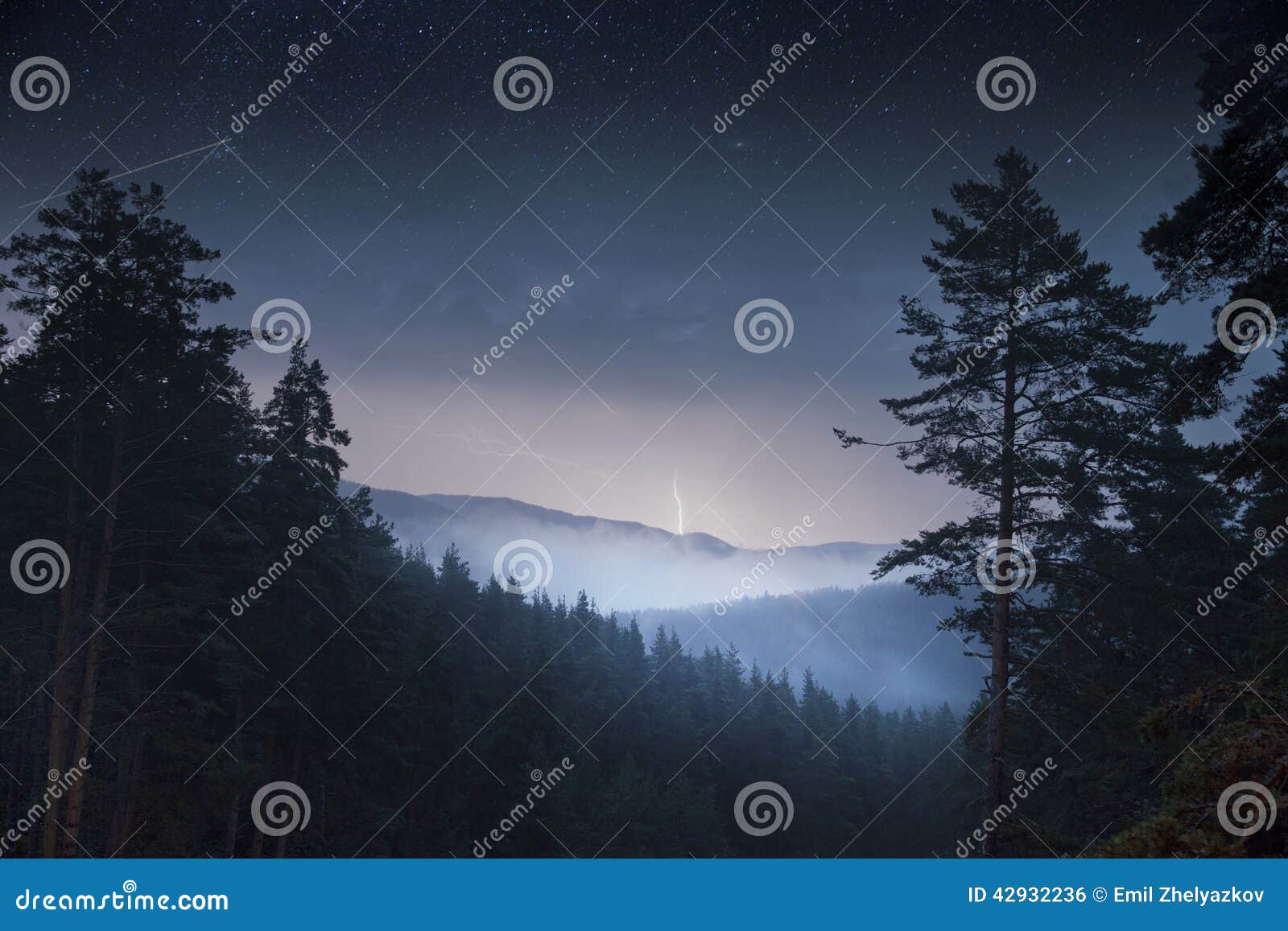 Night Pine Trees Forest & Mountain and Thunder Stock Photo - Image of ...