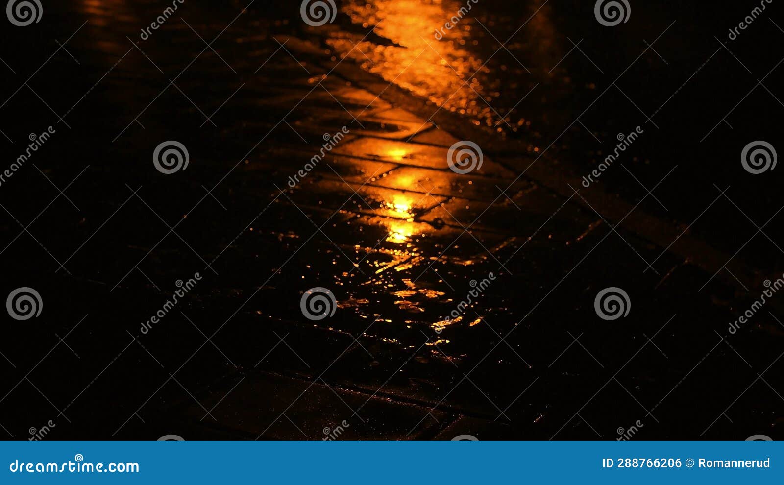 Night Rain and Raindrops Falling into a Puddle. Stock Footage - Video ...