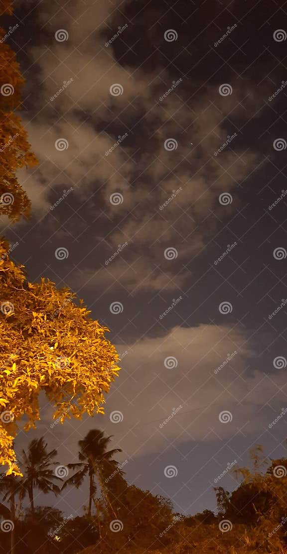 Night red forest stock image. Image of fornt, house - 360591141