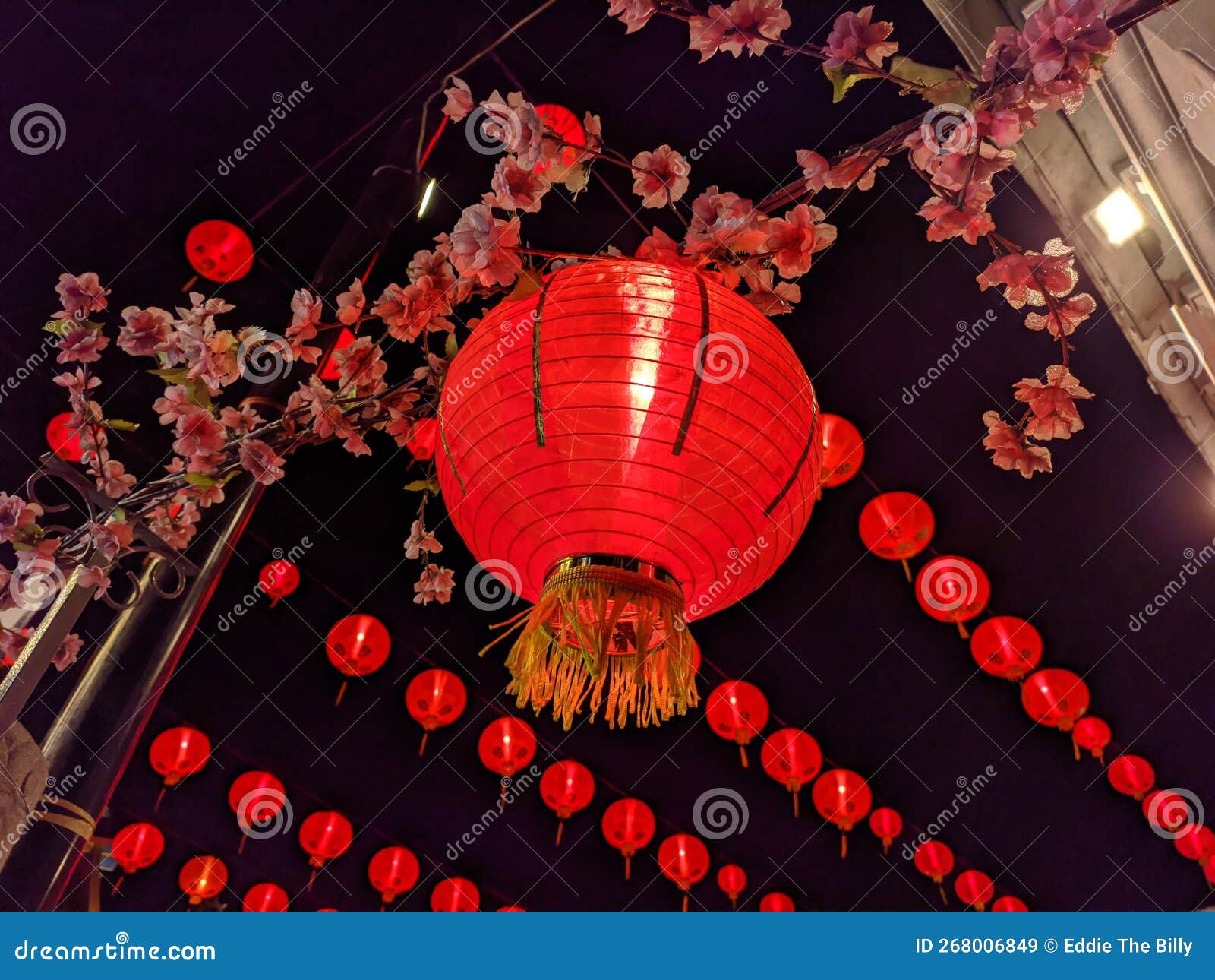Night red lampion stock image. Image of flower, plant - 268006849