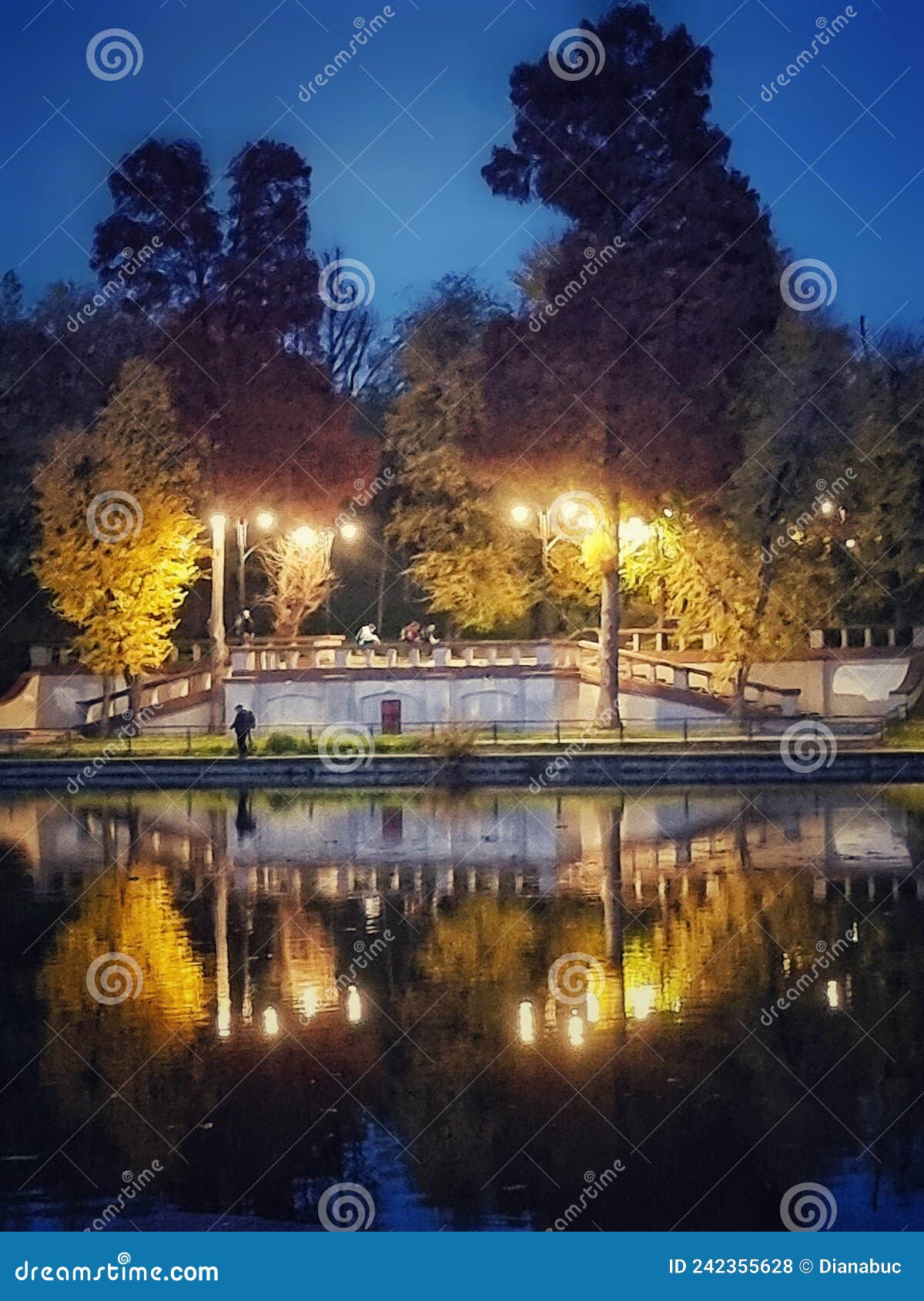 Night Reflection with Water Stock Photo - Image of reflection, morning ...
