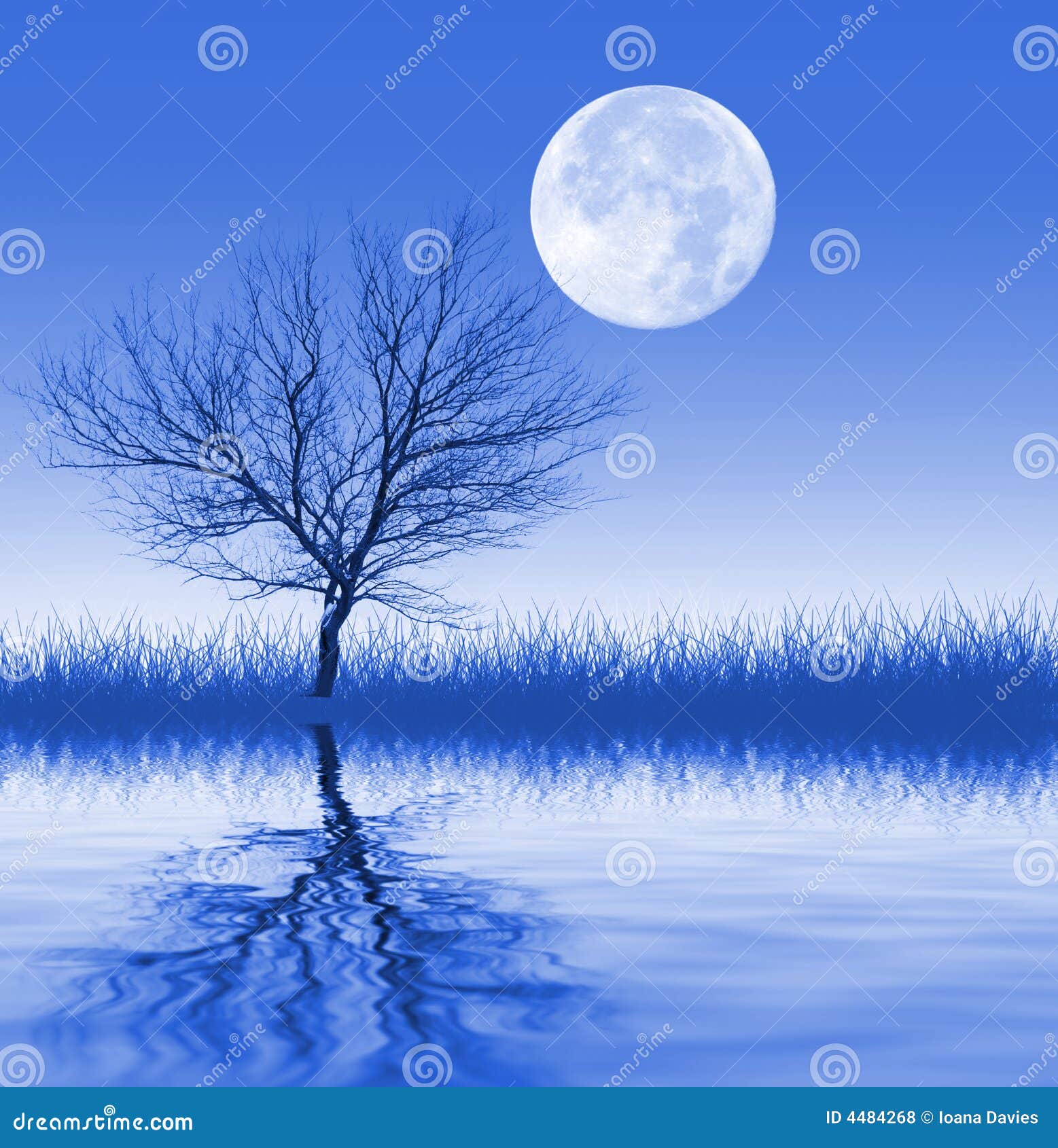 Night reflections stock photo. Image of reflection, nature - 4484268