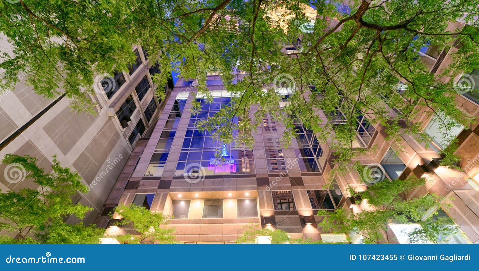 Night Reflections in City Skyscraper with Trees at Night Stock Image ...