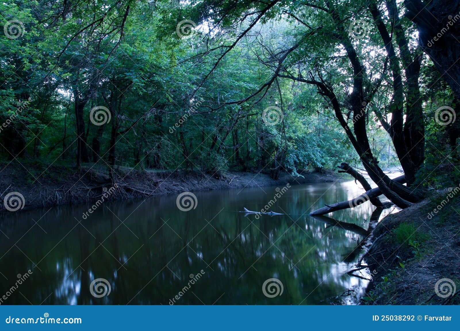 Night by the river stock photo. Image of lake, dusk, tree - 25038292