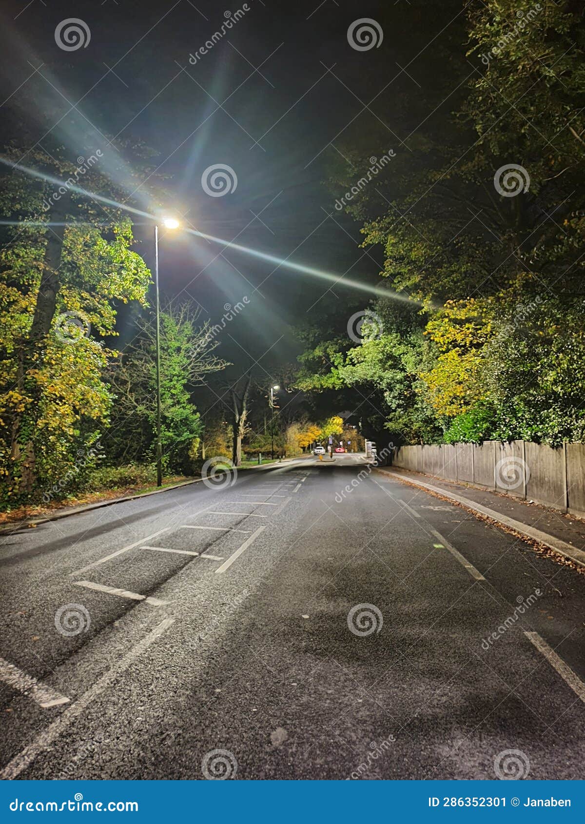 Night Road with Trees on the Side Stock Image - Image of trees, side ...