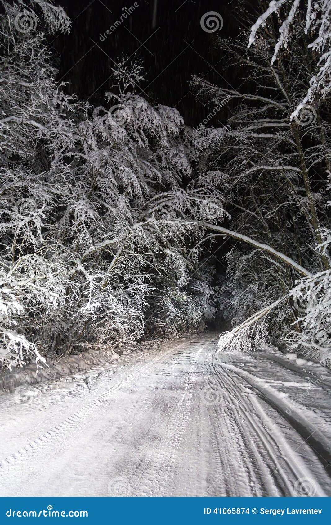 Night Road in Winter Forest Stock Photo - Image of snow, snowfall: 41065874
