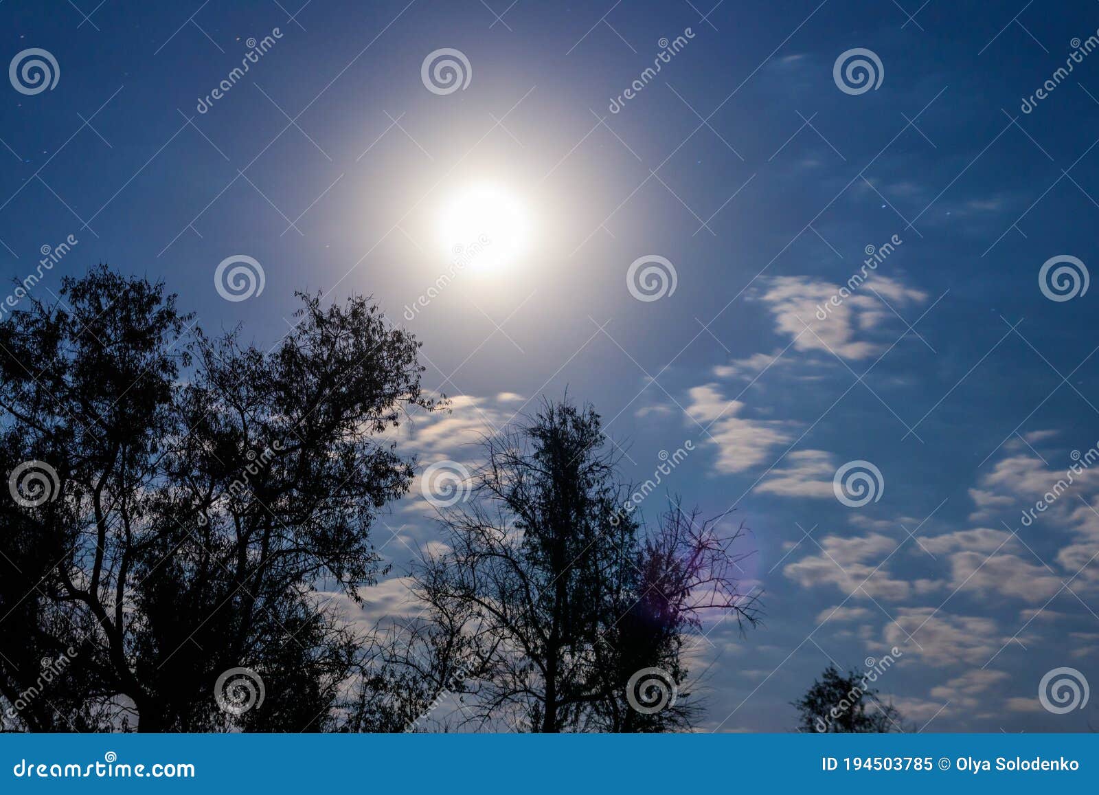 Night Scene with Full Moon and Trees Stock Image - Image of moon ...