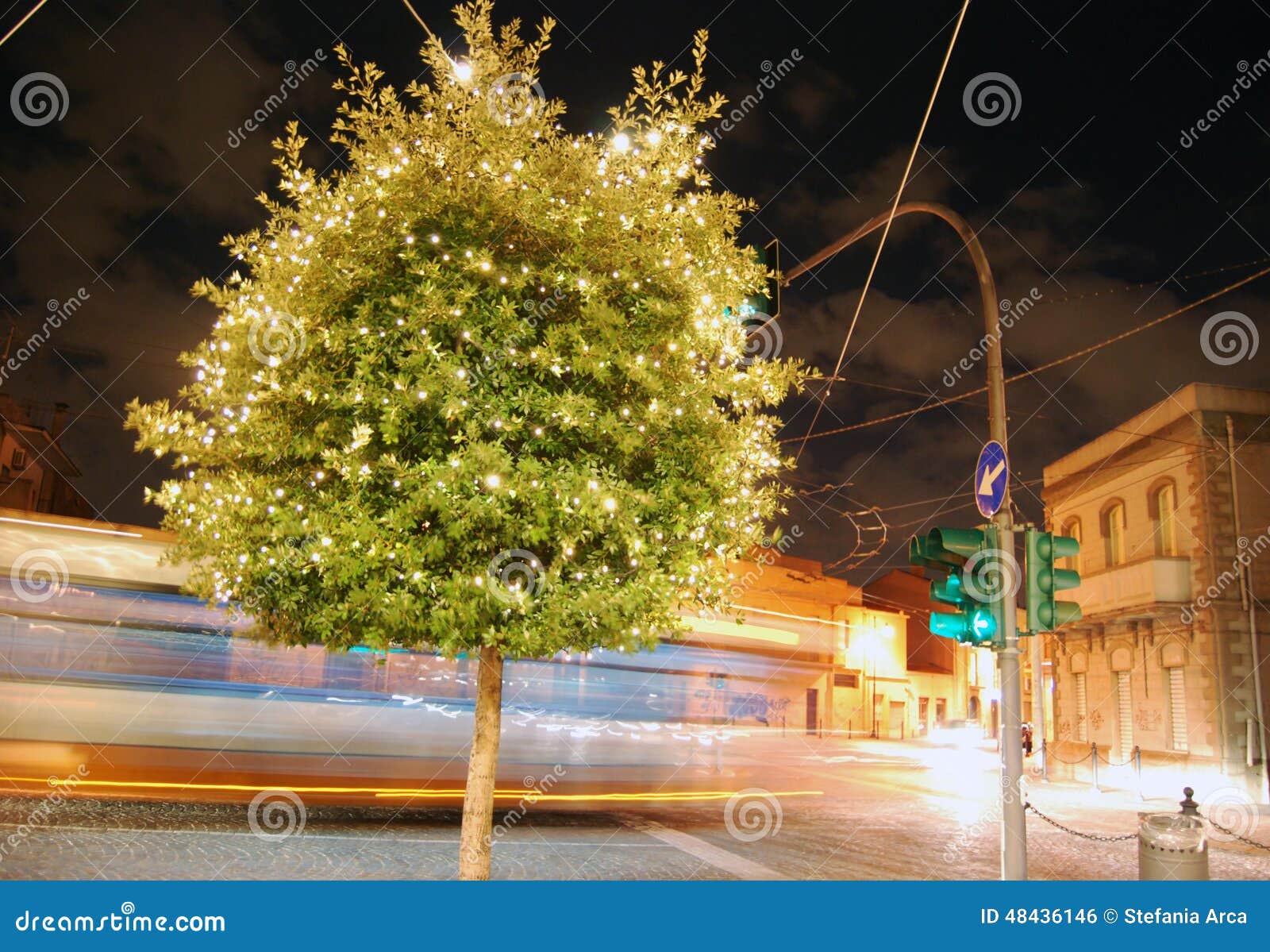 Night Scene with Green Tree Decorated with Christmas Lights in T Stock ...