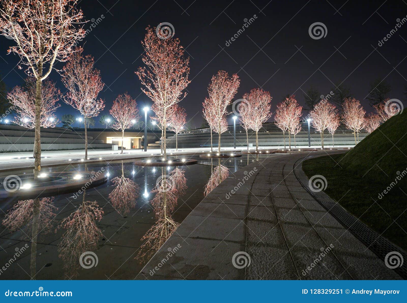 Night Scene in the Krasnodar Park Stock Image - Image of park ...