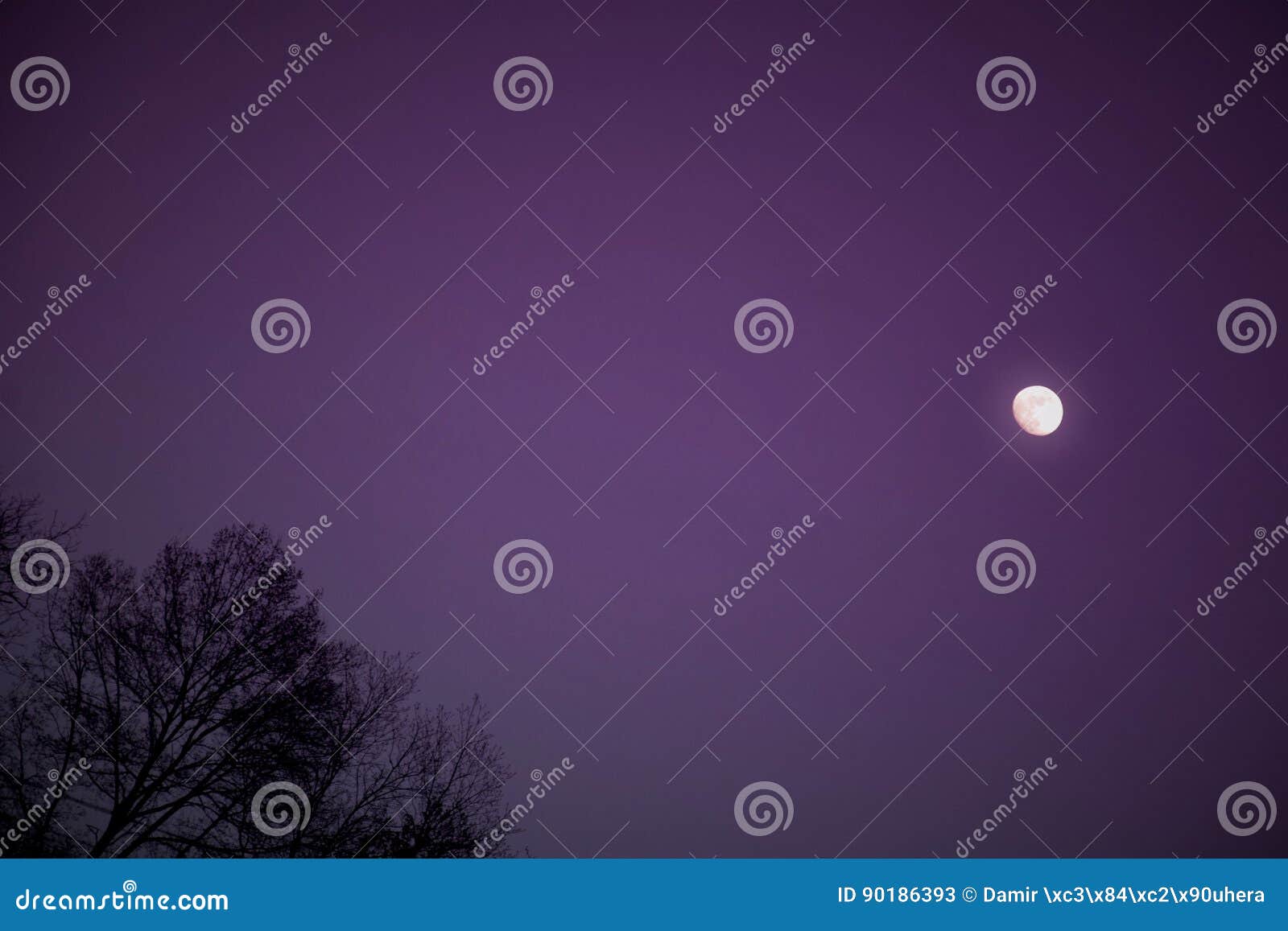 Night scene: midnight stock image. Image of moonlit, full - 90186393