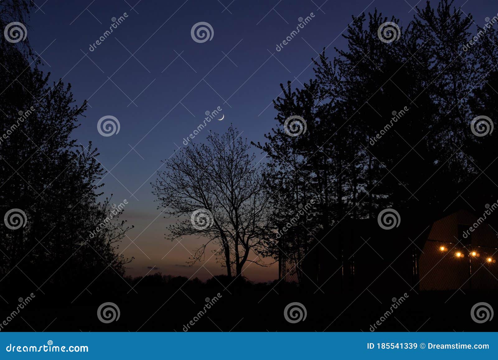 Crescent Moon Setting between Trees Stock Image - Image of lighting ...