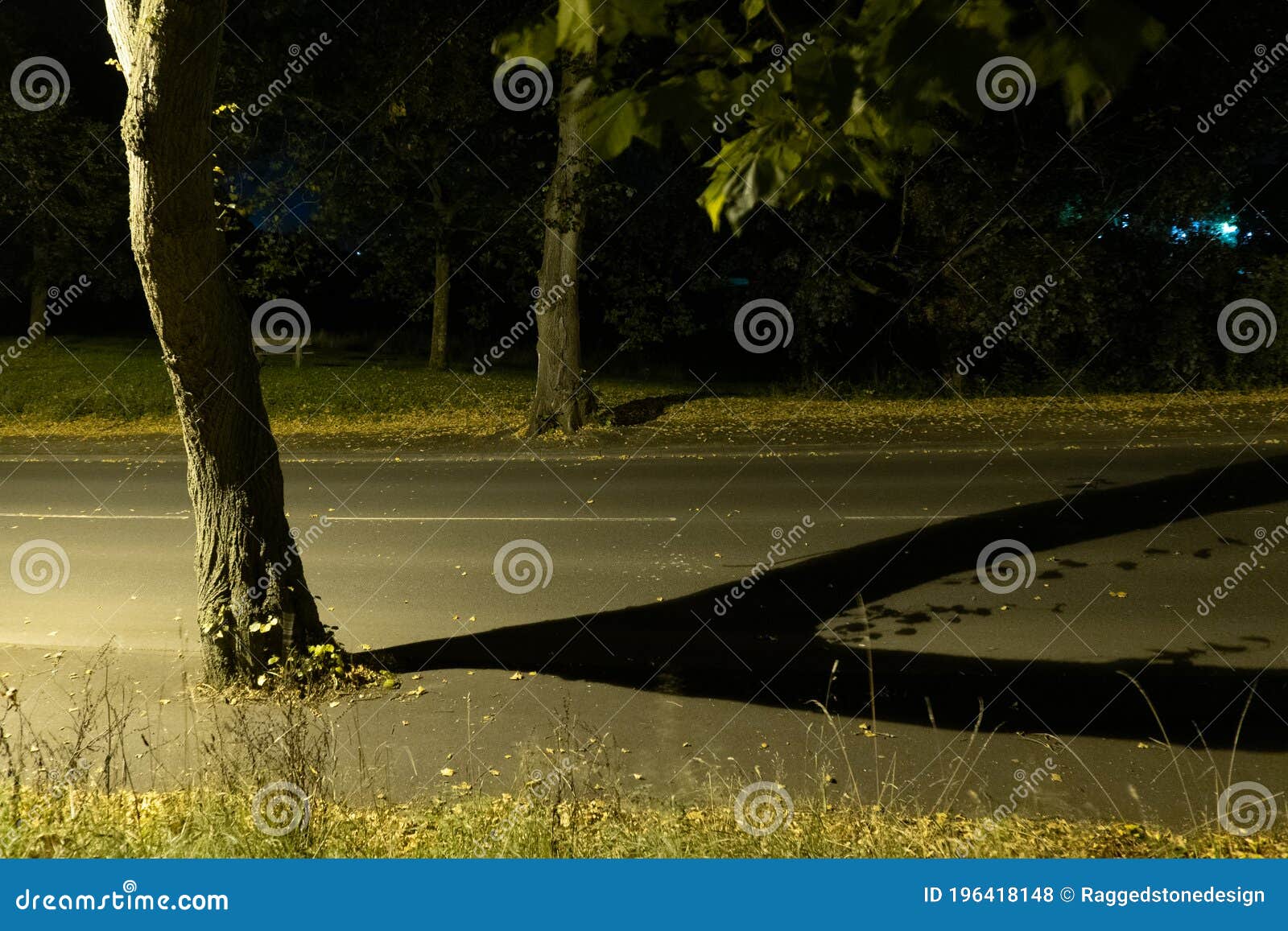 A Night Scene of a Road with a Tree and Shadow Stock Photo - Image of ...