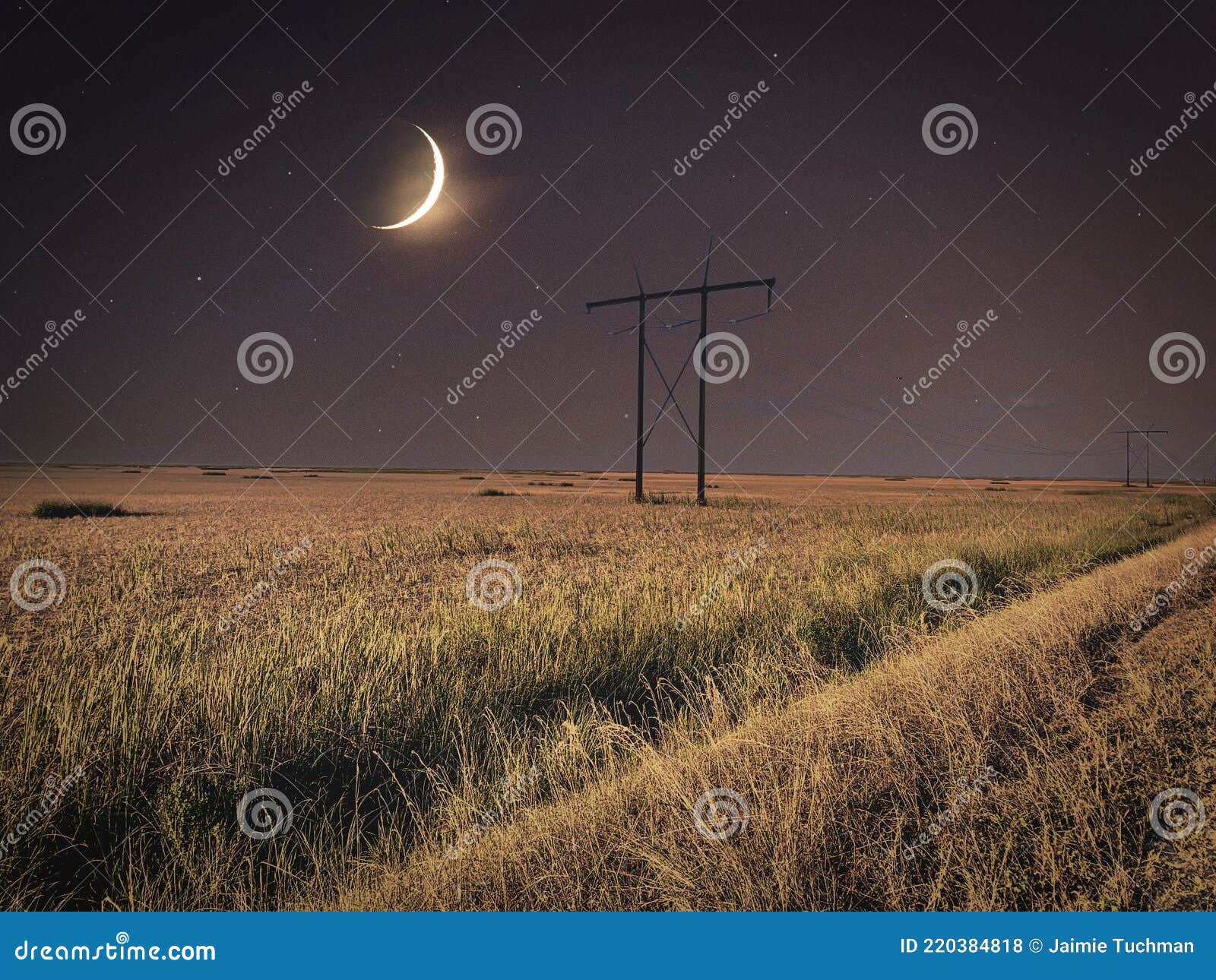 Night Scene of a Swamp and Power Lines Stock Photo - Image of ...