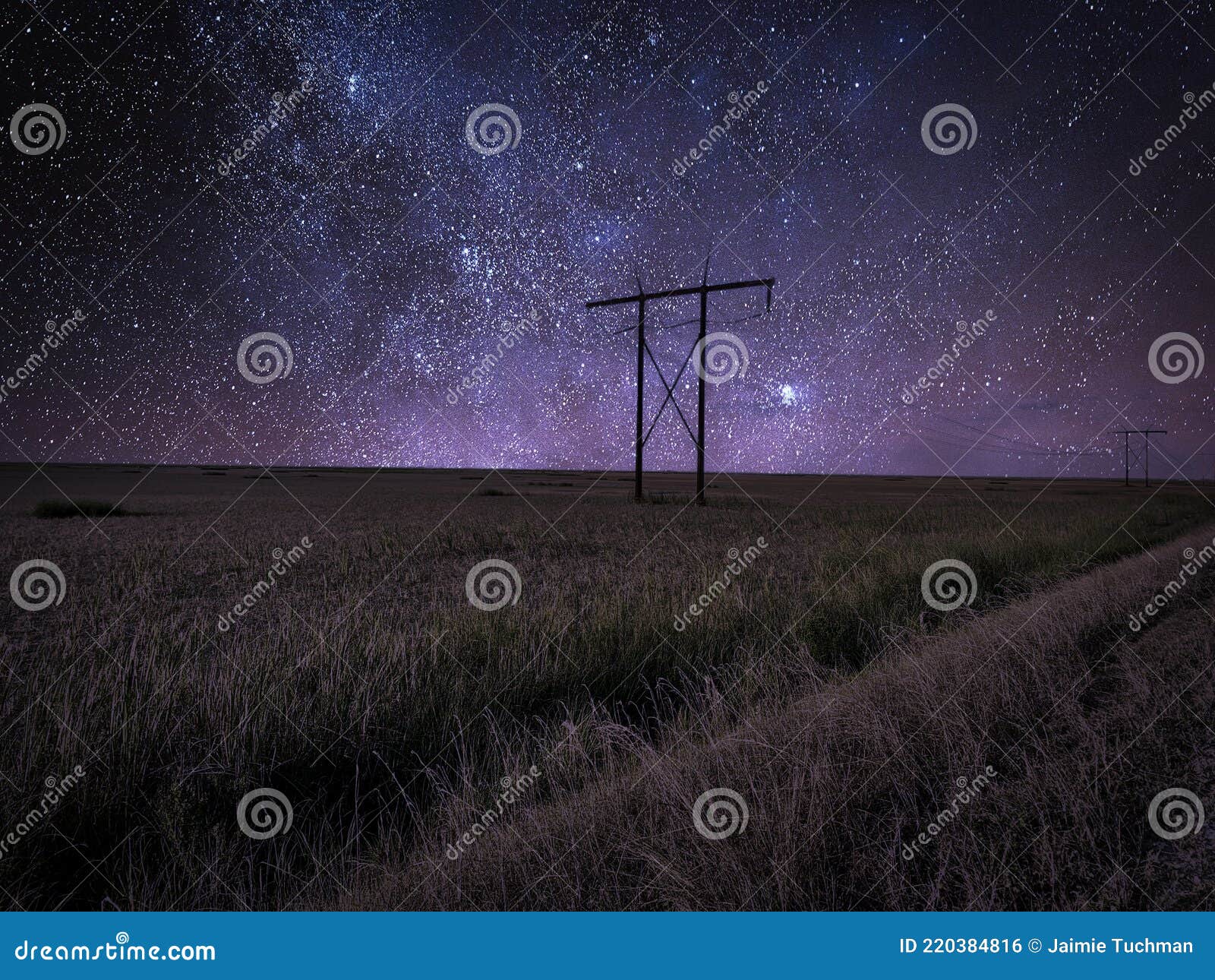 Night Scene of a Swamp and Power Lines Stock Photo - Image of landscape ...