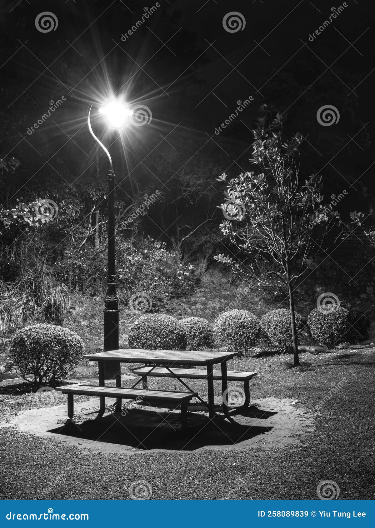 Night Scenery Of Bench, Picnic Table And Street Light In Park Stock ...