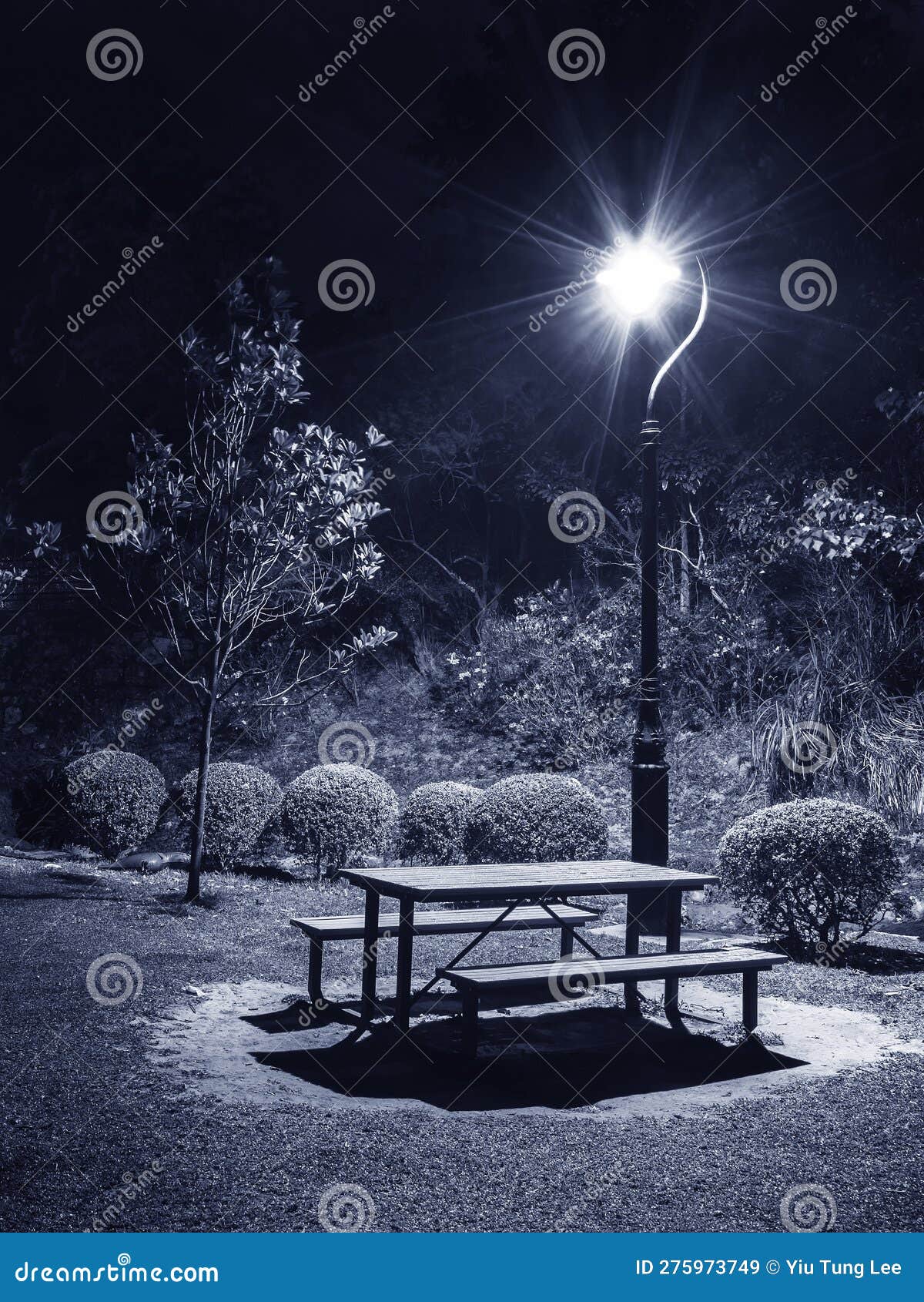 Night Scenery of Bench, Picnic Table and Street Light in Park Stock ...