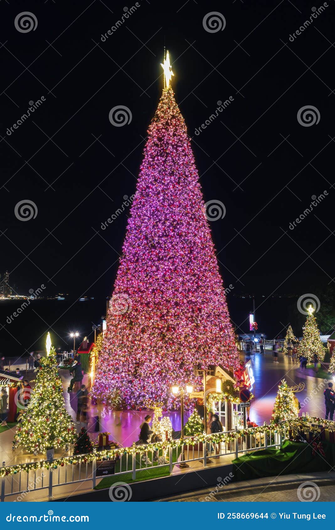 Illuminated LED Christmas Tree in Park Stock Photo - Image of bulb ...