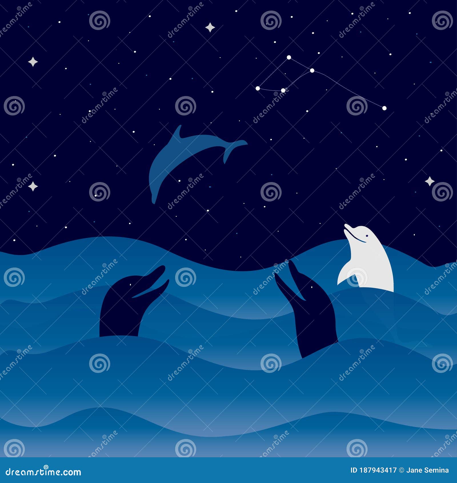 Night Sea with Waves, Starry Sky and Dolphins. Dolphin Constellation ...