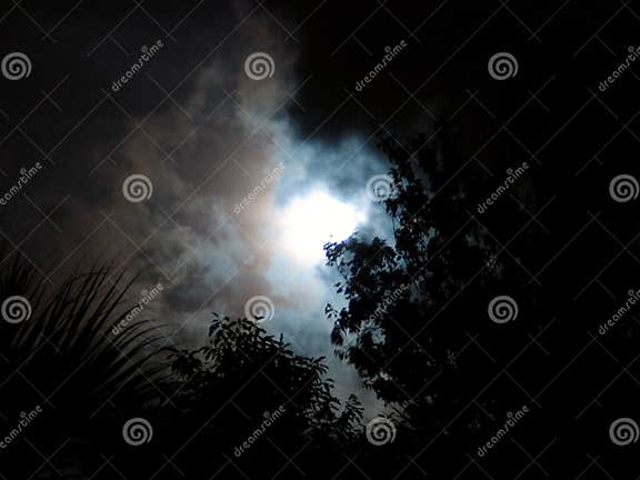 Night sky stock image. Image of cloud, leaf, beauty, white - 12213