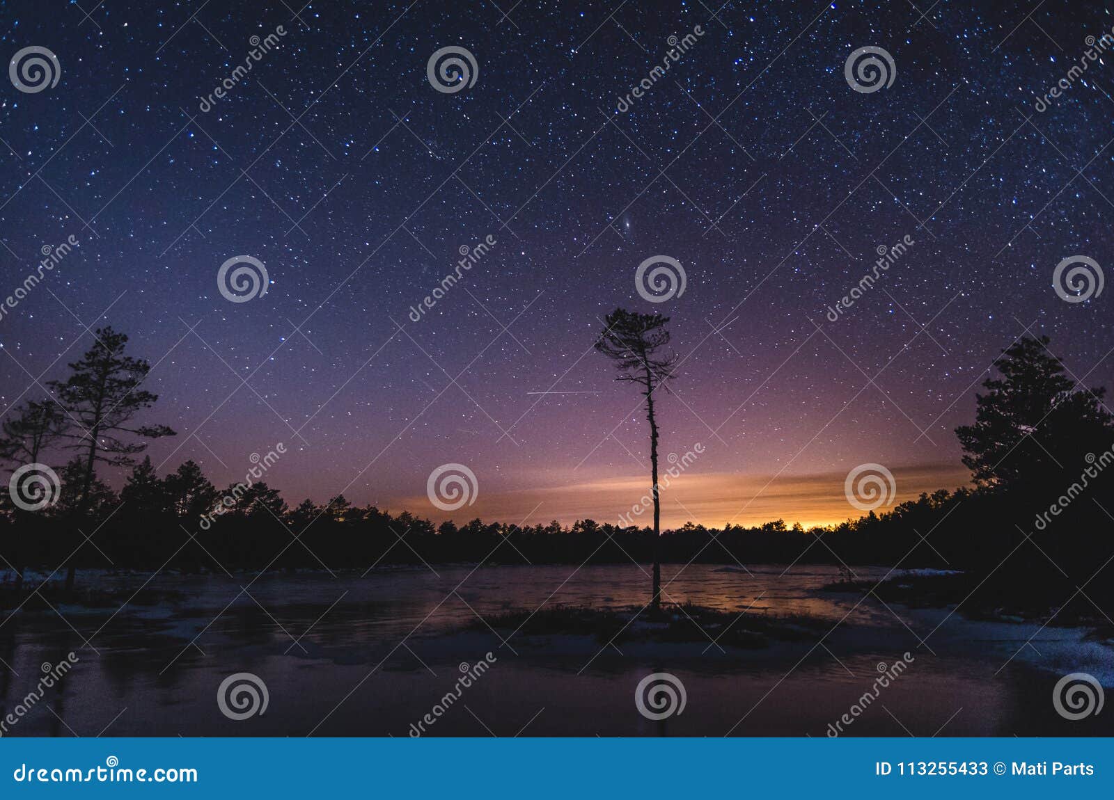 Night Sky and City Lights Over Small Pine Tree Stock Image - Image of ...