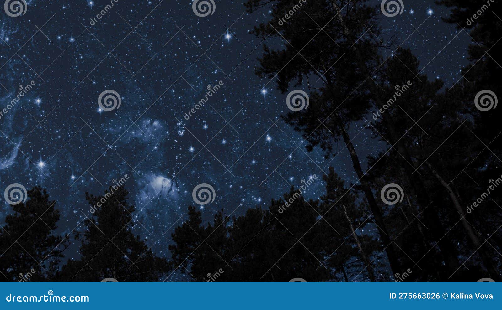 Night Sky in the Forest with Stars and Moon Stock Illustration ...