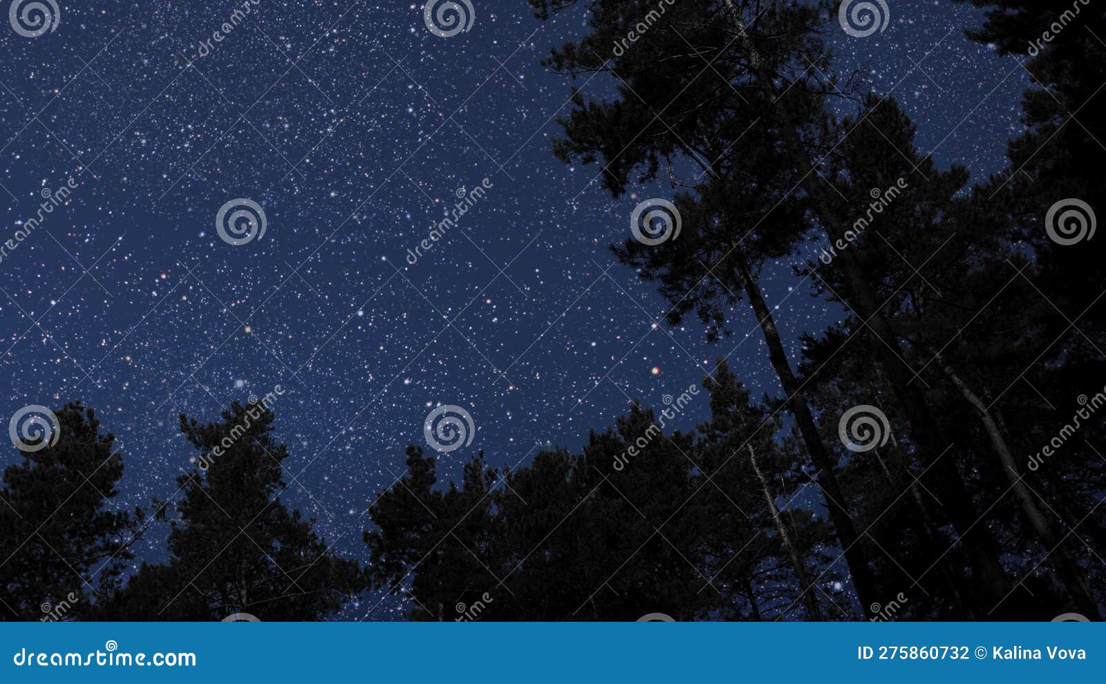 Night Sky in the Forest with Stars and Moon Stock Photo - Image of mood ...