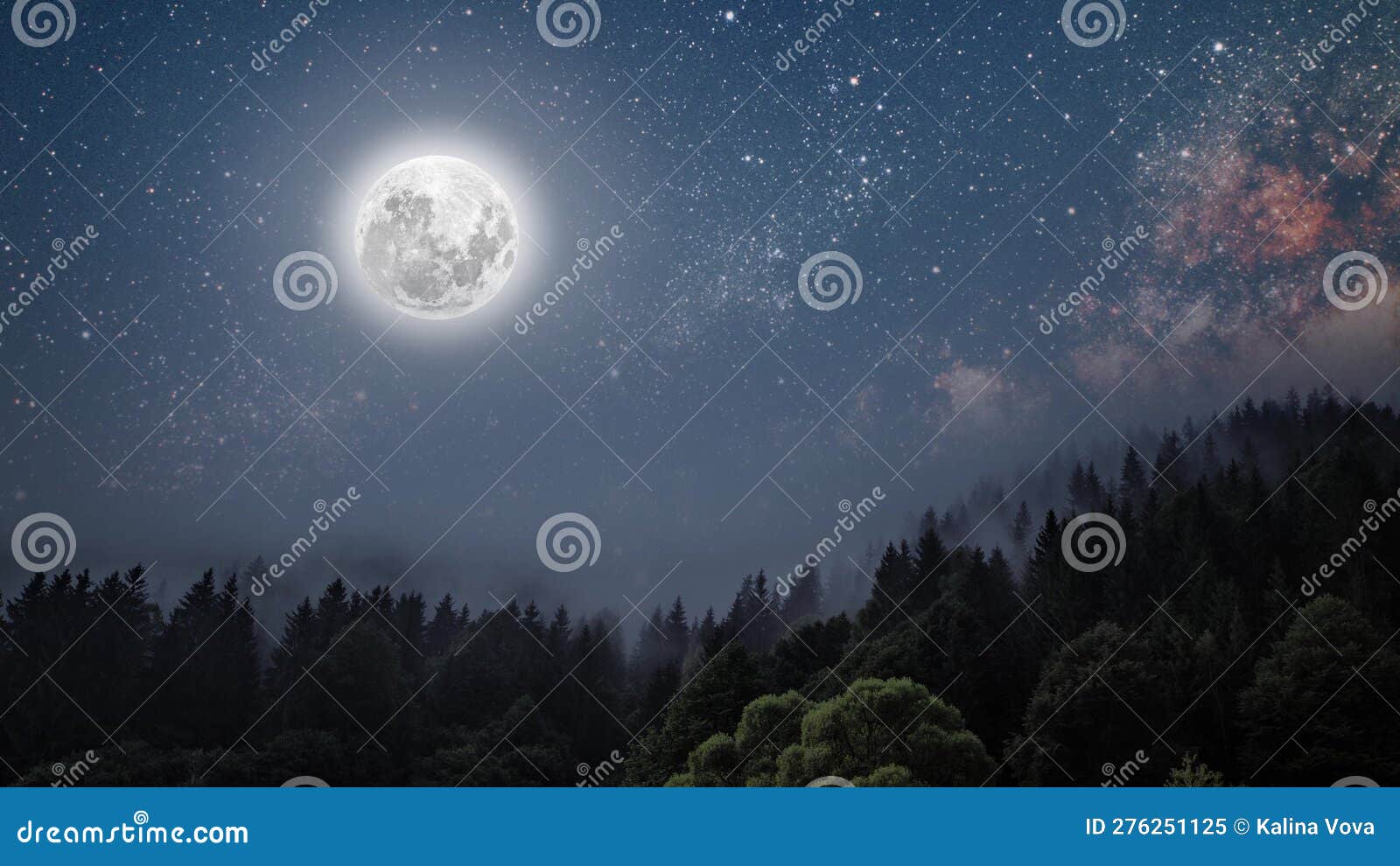 Night Sky in the Forest with Stars and Moon Stock Illustration ...