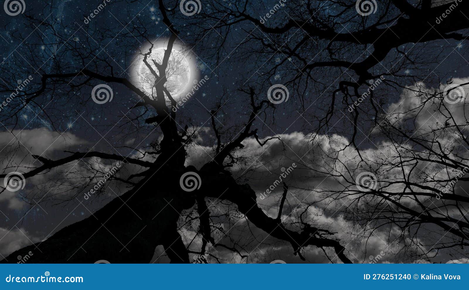 Night Sky in the Forest with Stars and Moon Stock Illustration ...