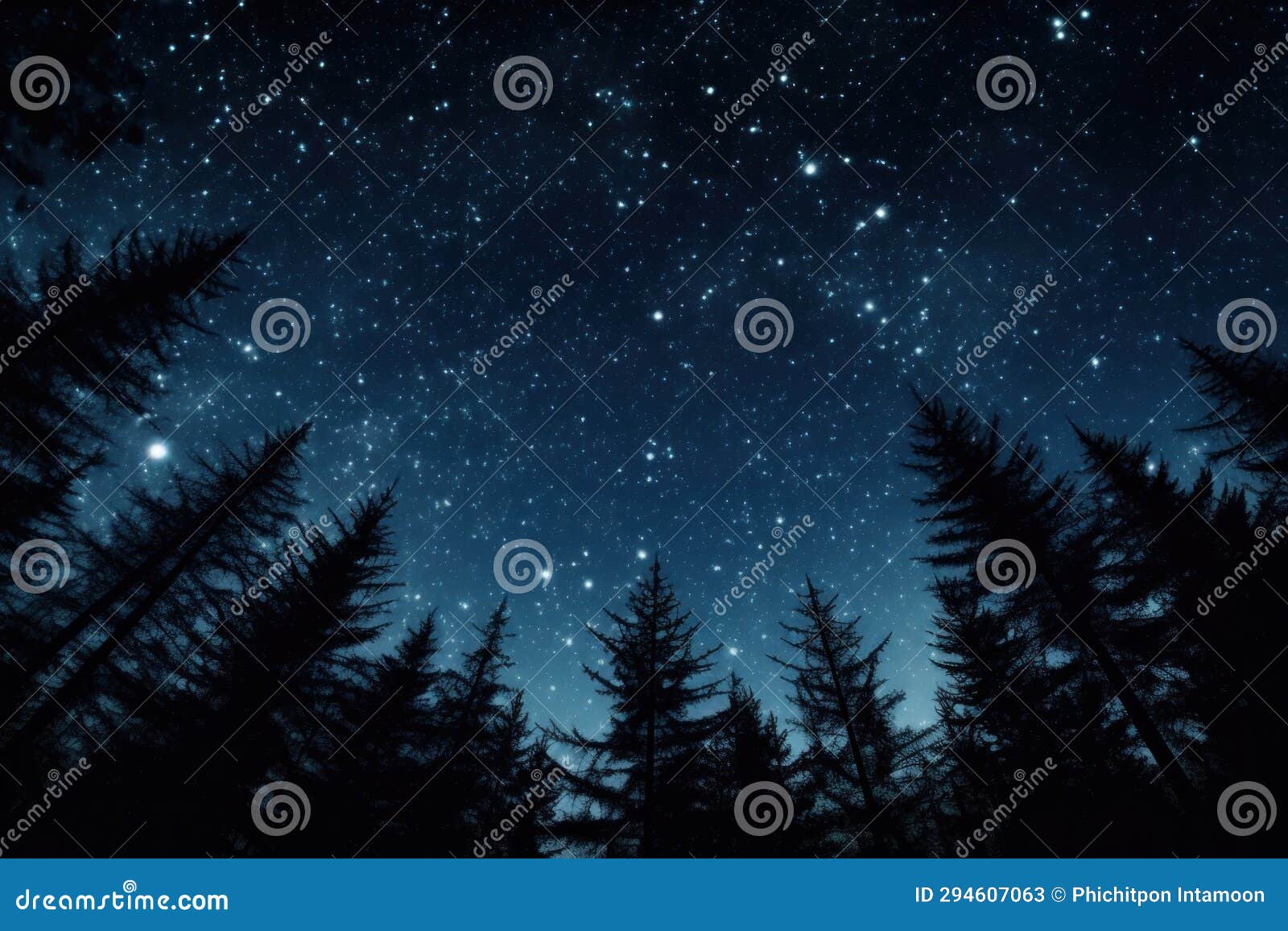Night Sky in Forest, View of Star on Night Sky through Tree Brunches ...