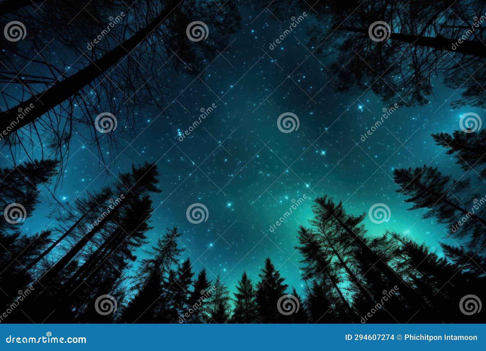 Night Sky in Forest, View of Star on Night Sky through Tree Brunches ...