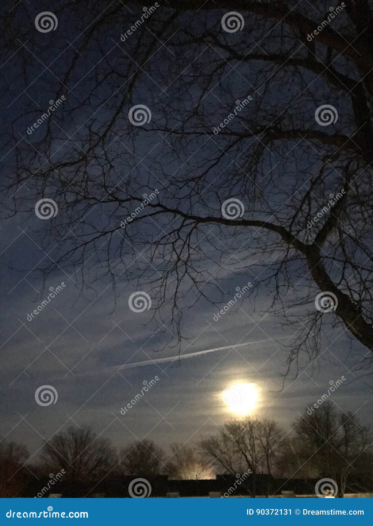 Night sky stock image. Image of moon, night, tree, full - 90372131