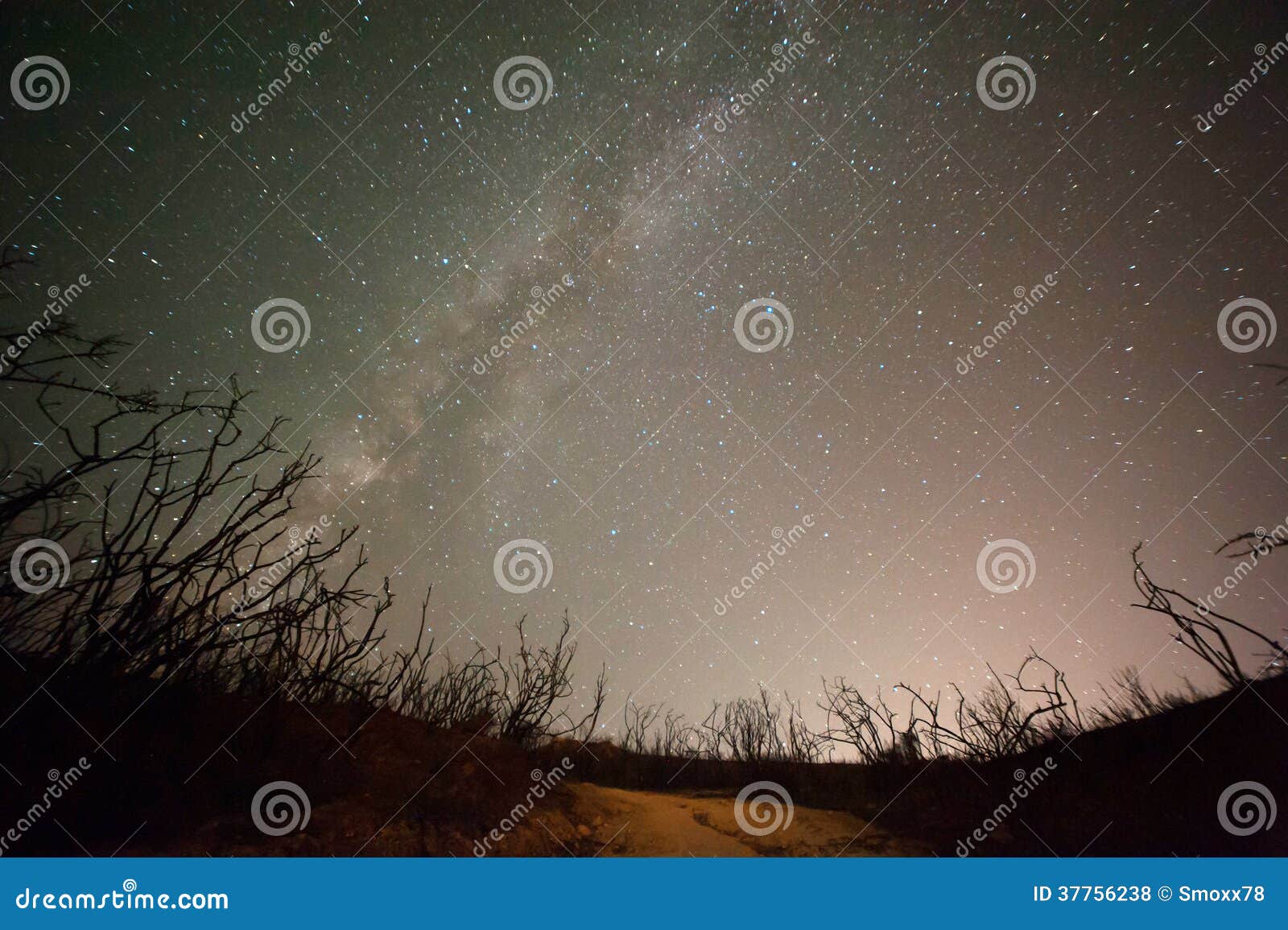 Night Sky with Galaxy and Trees Stock Photo - Image of hill, trees ...