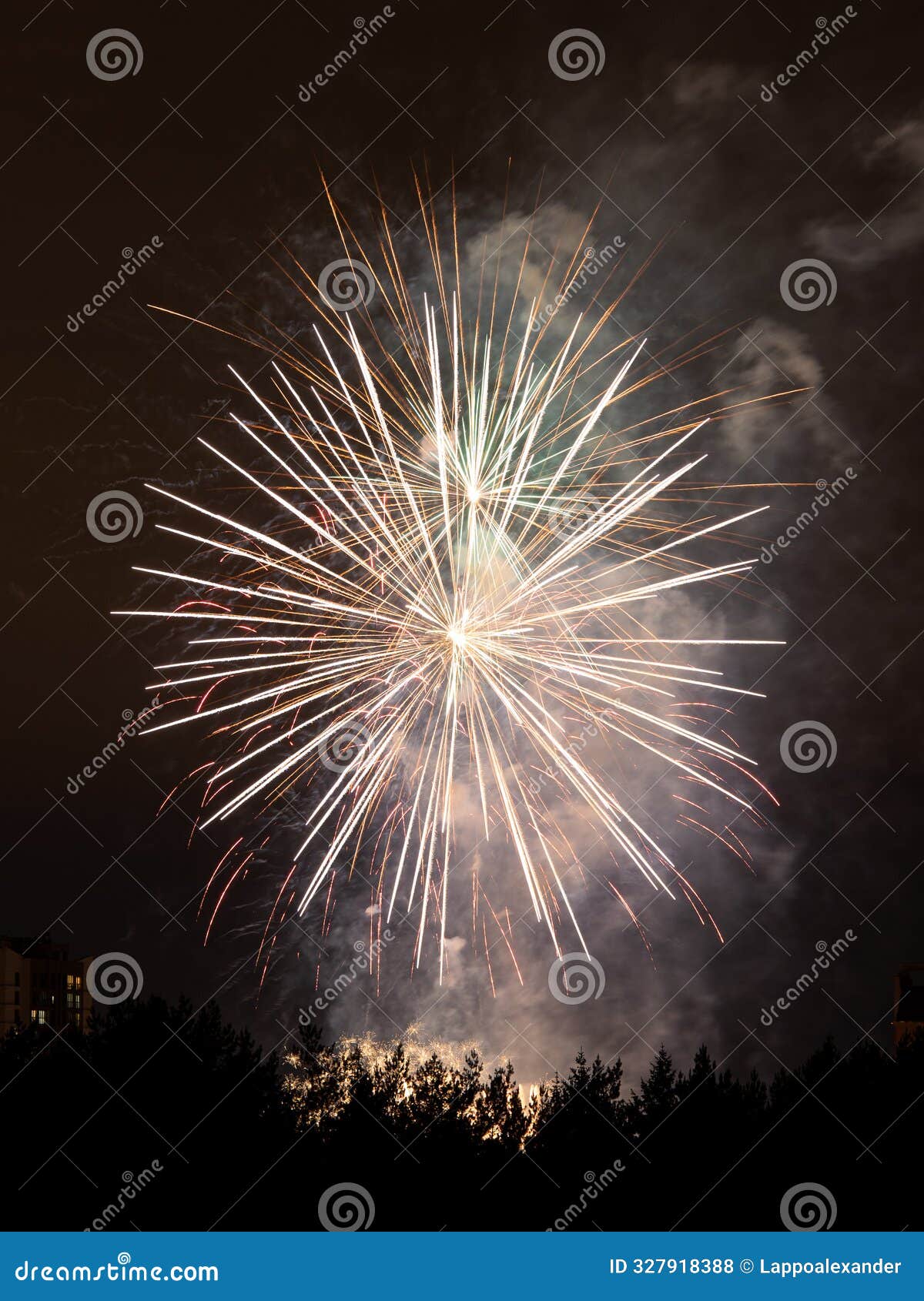 Night Sky Illuminated by Vibrant Fireworks, Trees Silhouetted at Bottom ...