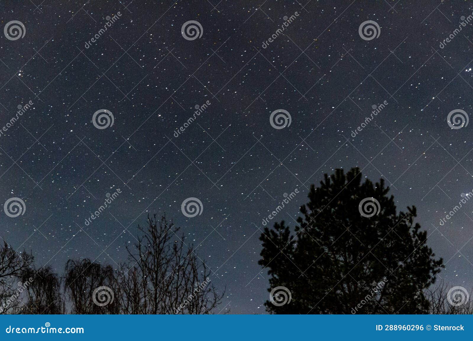 Night Sky with Many Stars Above Trees Stock Photo - Image of starry ...