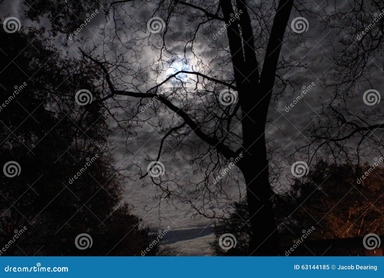 Night sky editorial image. Image of night, trees, moon - 63144185