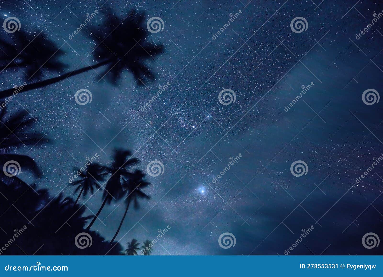 Night Sky and Palm Trees. Stars in the Tropics Stock Image - Image of ...