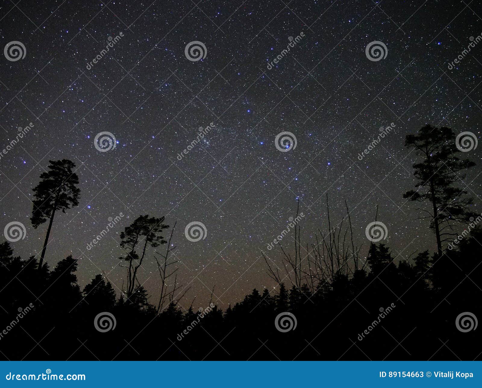 Universe Stars Night Sky Forest Perseus Cassiopeia Constellation Stock ...