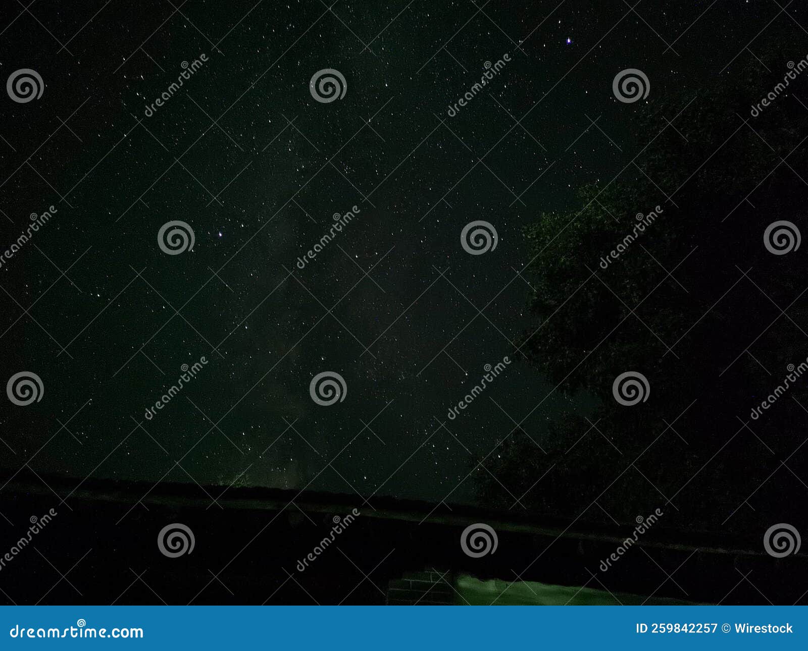 Night Sky with the Stars Glowing Seen through Trees Stock Image - Image ...