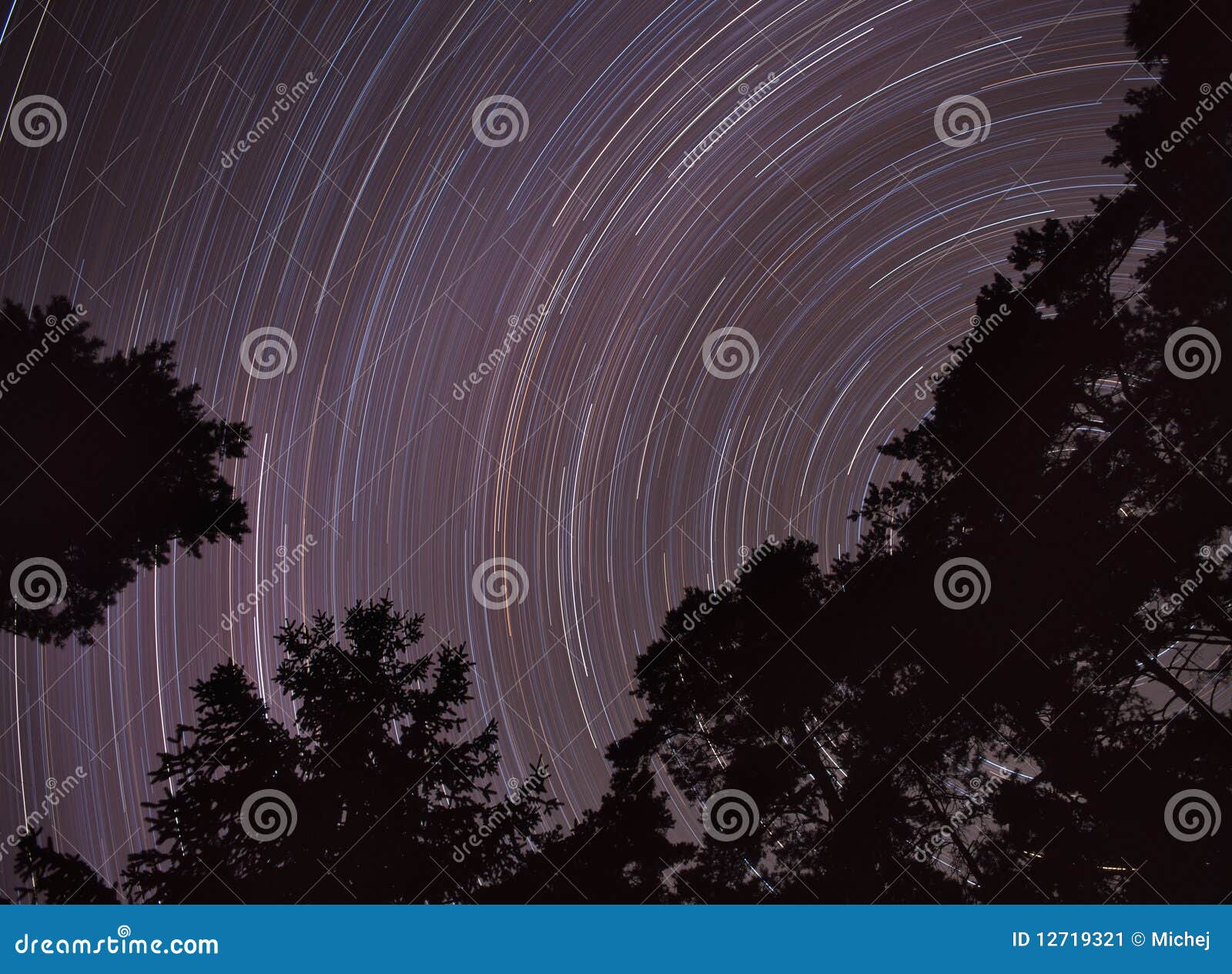 Night sky, stars moving. stock image. Image of tree, violet - 12719321