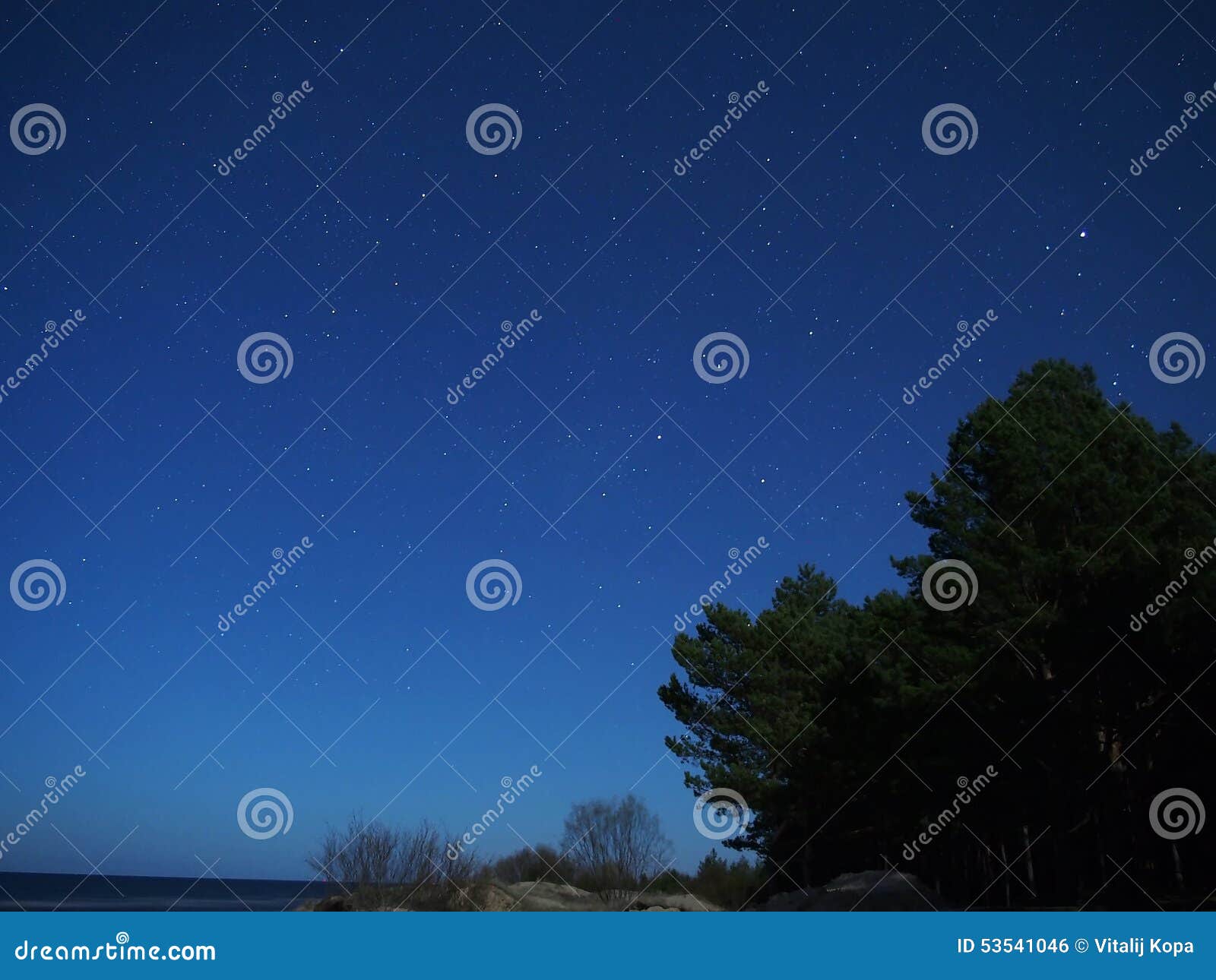 Night sky stars over sea stock photo. Image of sandy - 53541046