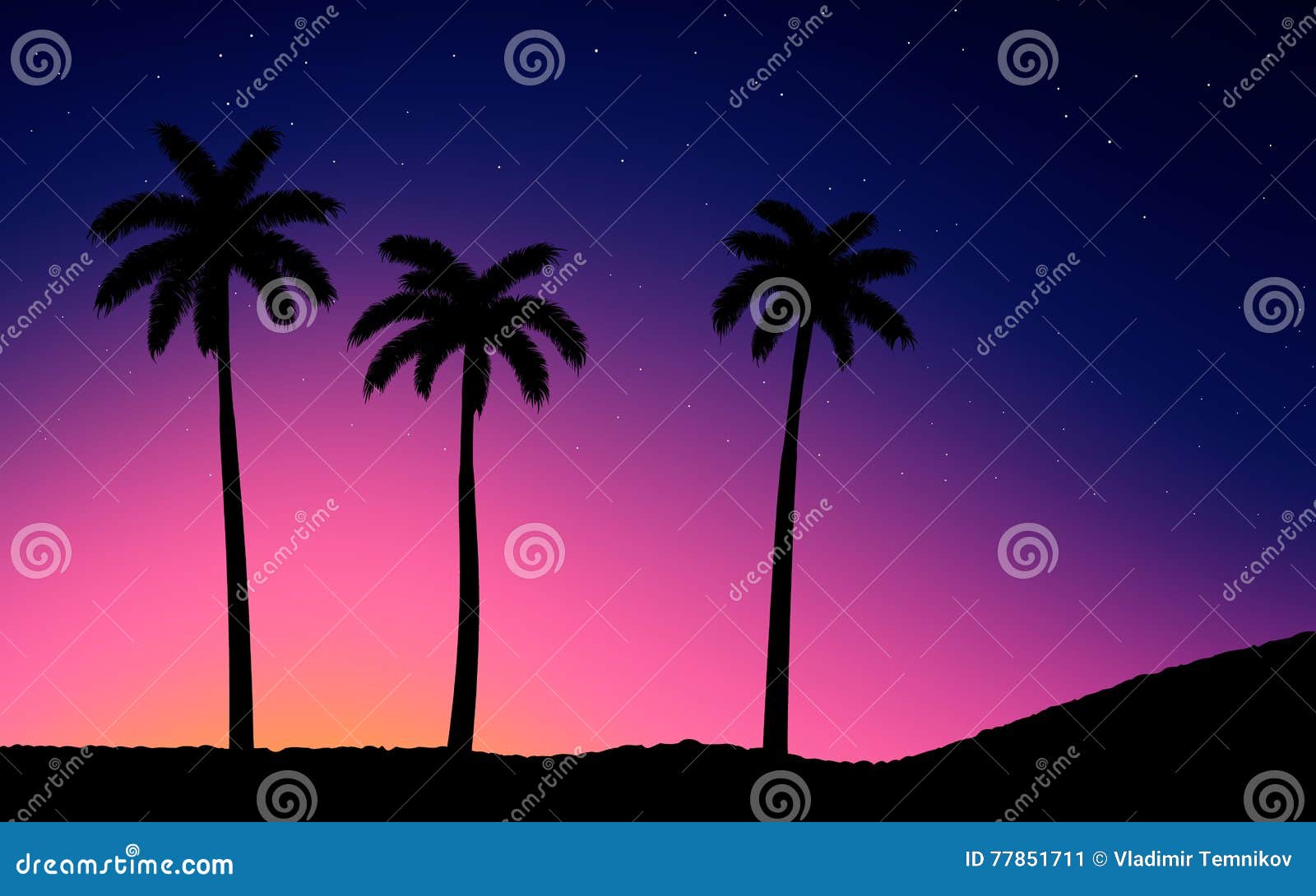 Night Sky with Stars. Palm Trees on Sunset Stock Vector - Illustration ...