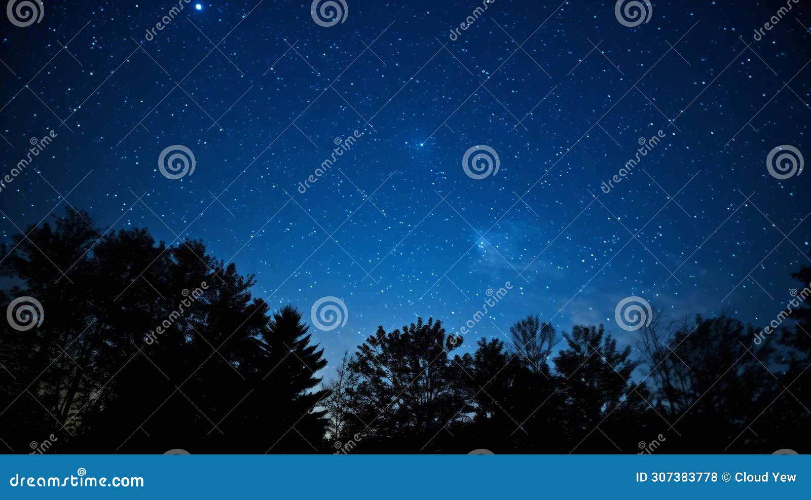 The Night Sky with Stars and Trees Stock Illustration - Illustration of ...
