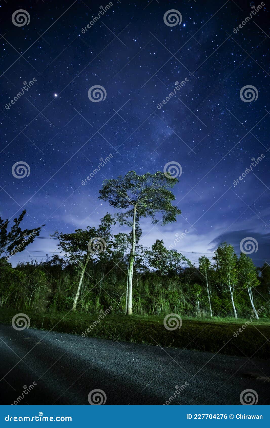 Stars with Trees Foreground Stock Photo - Image of nebula, universe ...