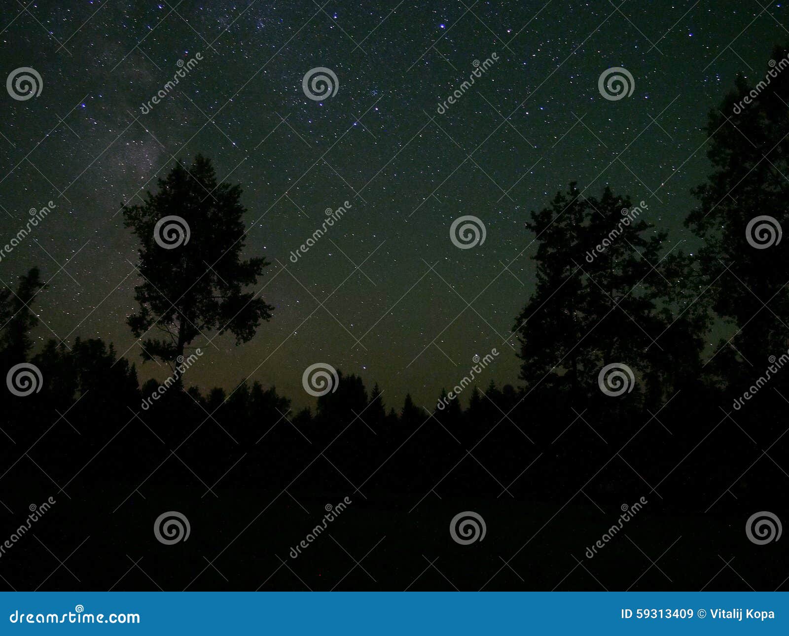 Universe Night Sky Stars Over Forest Stock Image - Image of milk, night ...