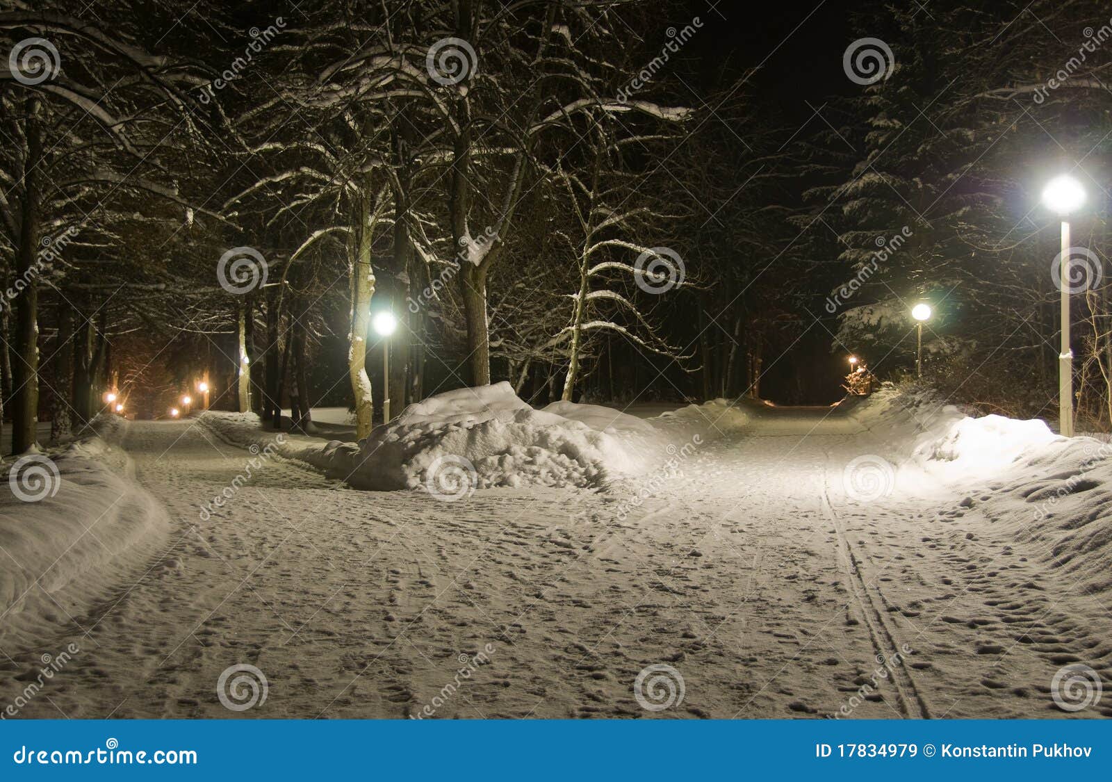 Night in snow-covered park stock image. Image of park - 17834979