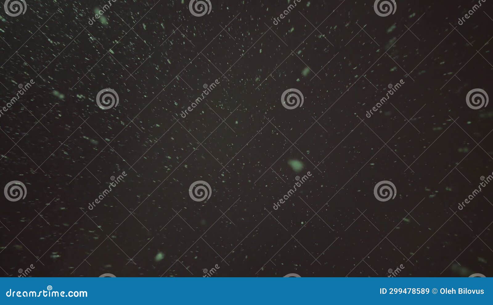 Night Snowfall on the Background of the Sky Stock Video - Video of ...