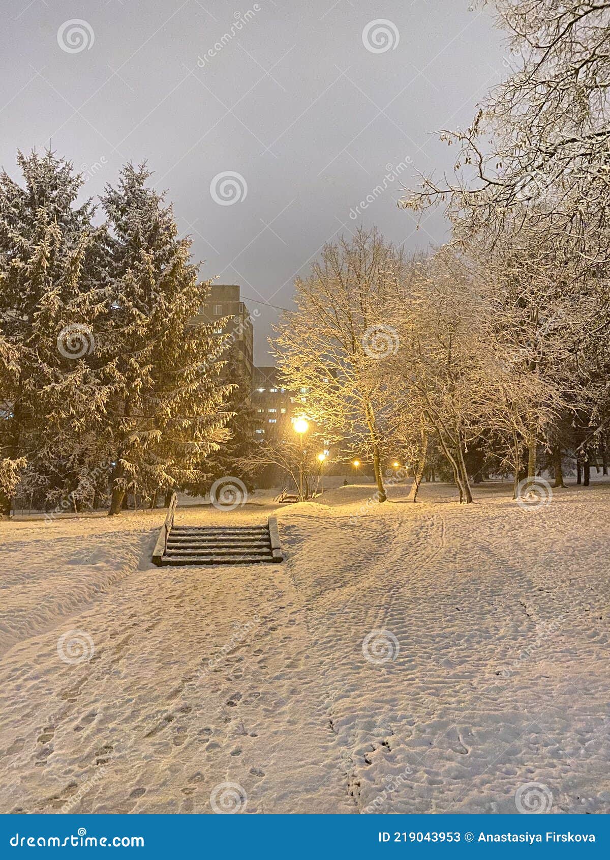 Night snowfall stock image. Image of morning, freezing - 219043953