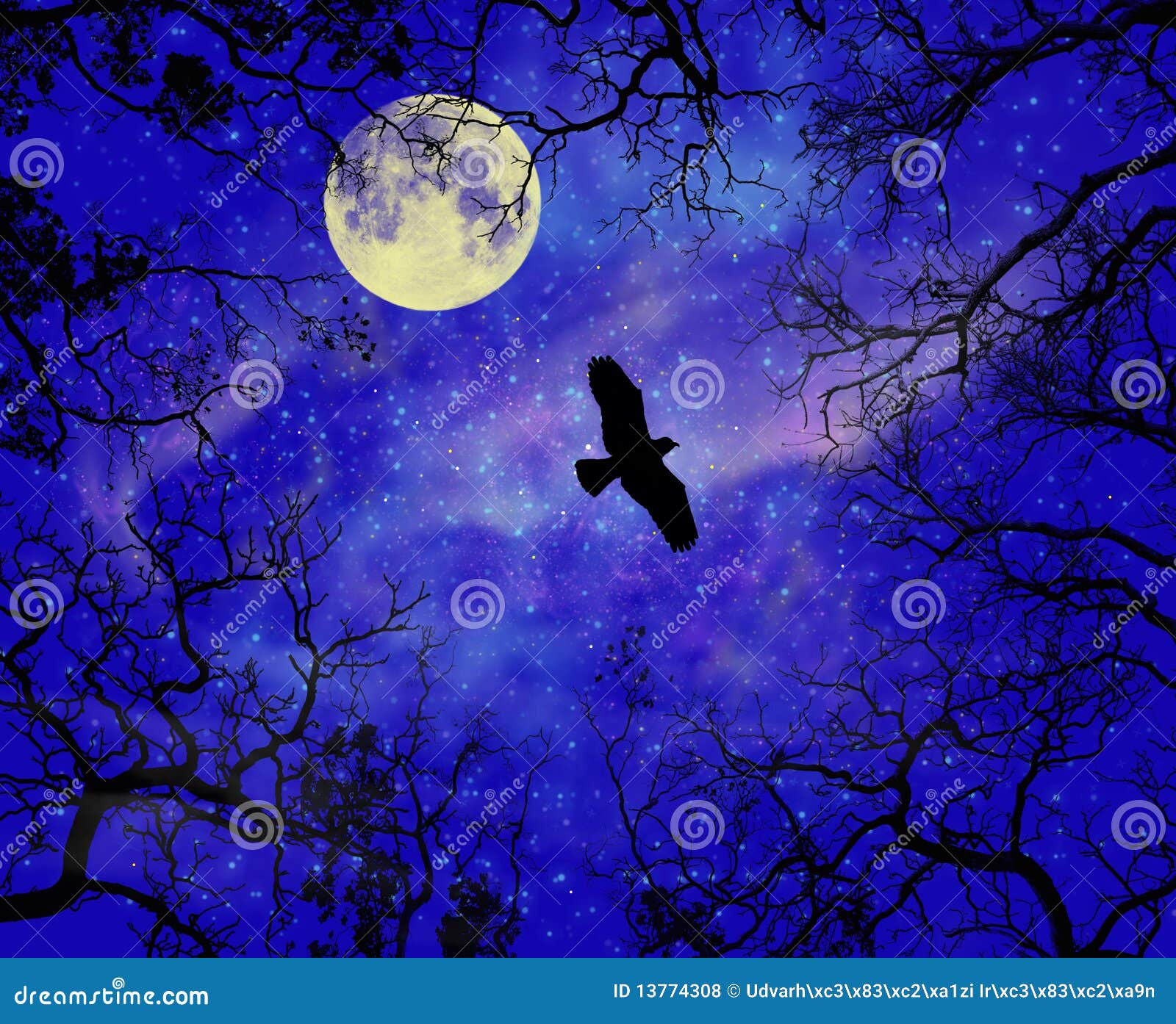 The Moon With The Bird Cartoon Royalty-Free Stock Photo | CartoonDealer ...